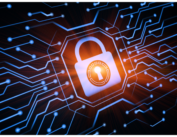 Why is it important to have a Digital Immune System? - TECHx Media
